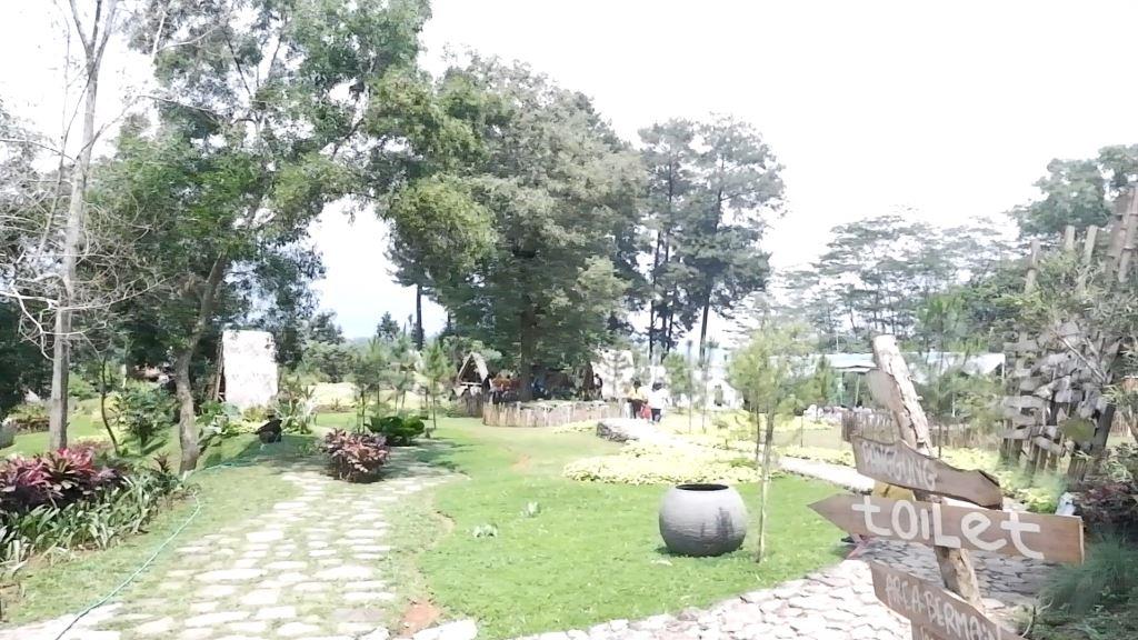 Keindahan Pinusia Park yang Sajikan Spot Alam Keren