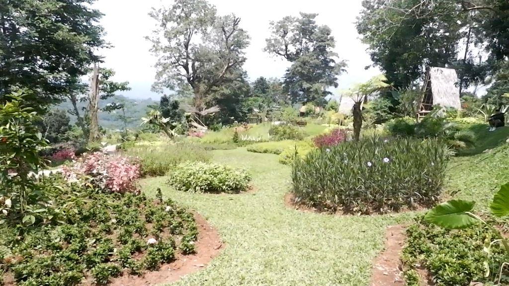 Keindahan Pinusia Park yang Sajikan Spot Alam Keren